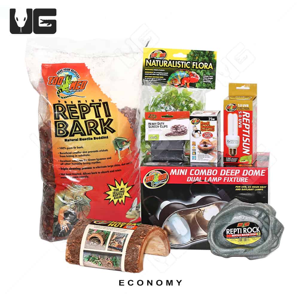 COMPLETE Baby Ball Python Setup - Underground Reptiles