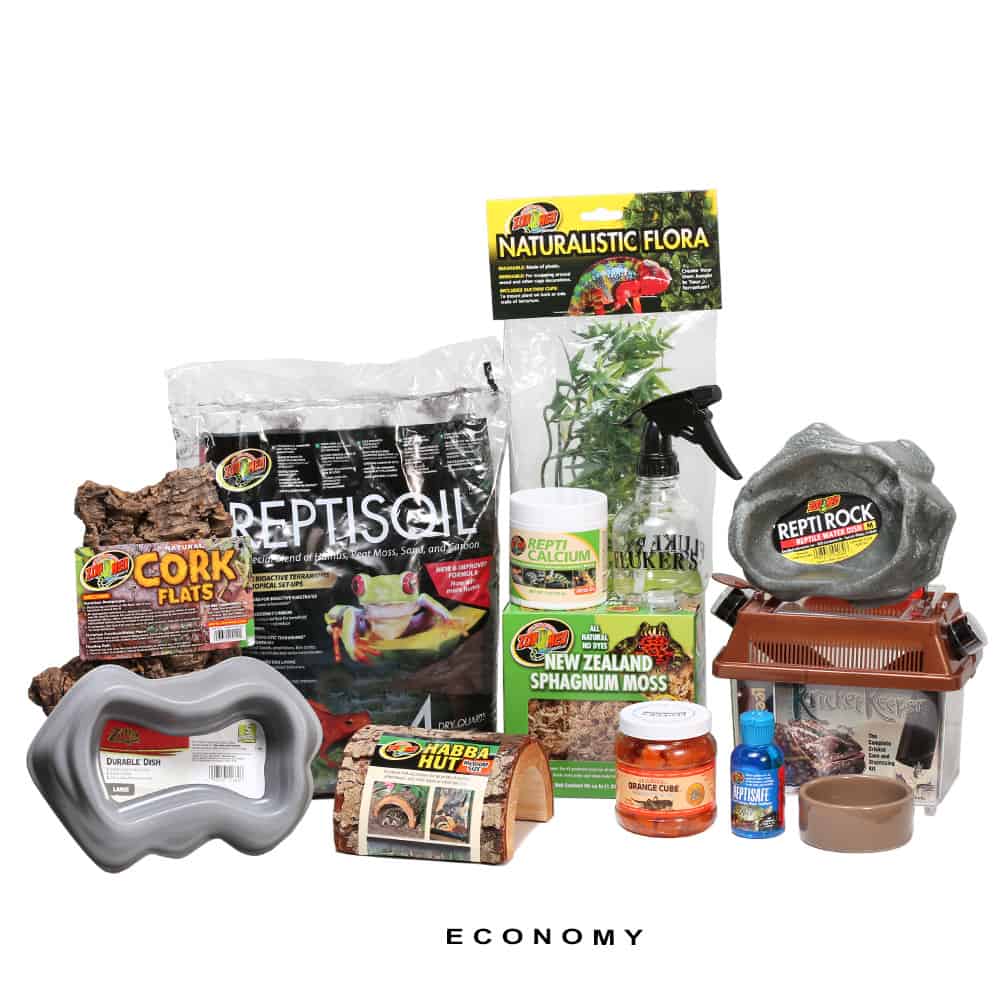 COMPLETE Red Eye Crocodile Skink Setup - Underground Reptiles