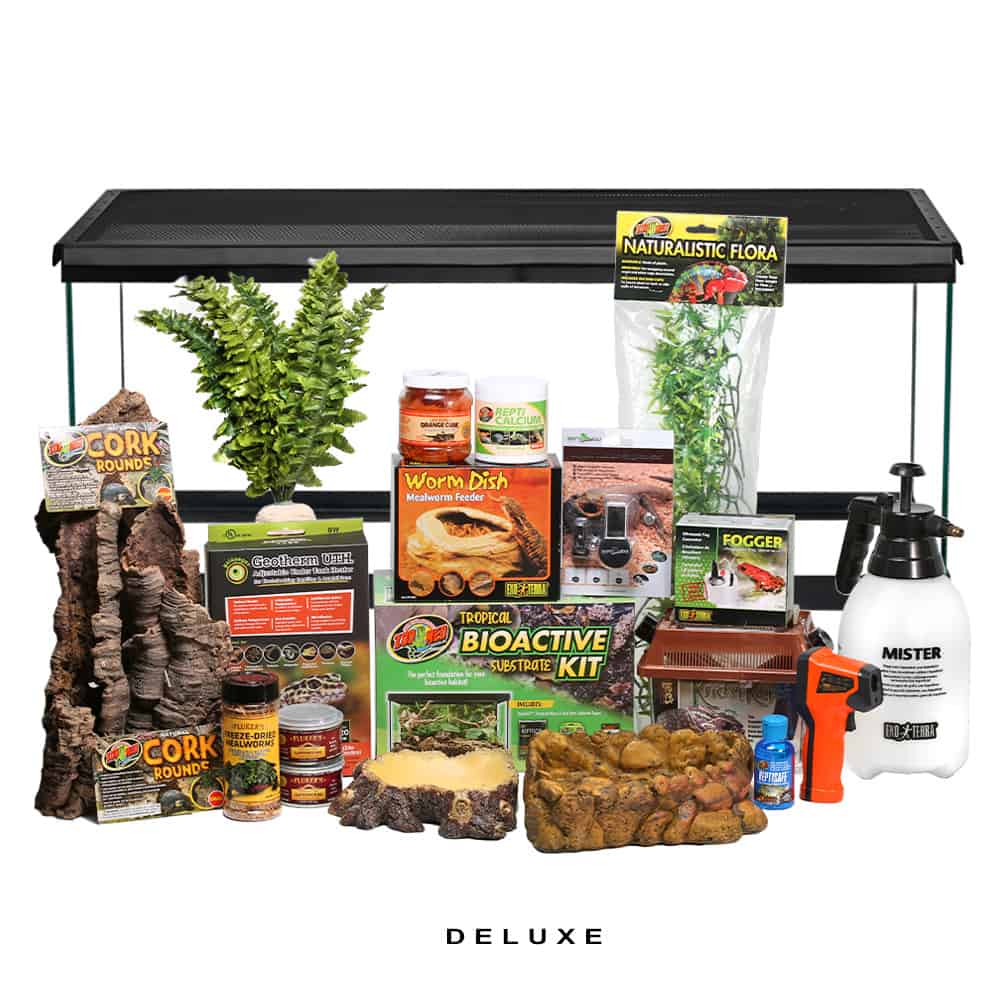 COMPLETE Red Eye Crocodile Skink Setup - Underground Reptiles