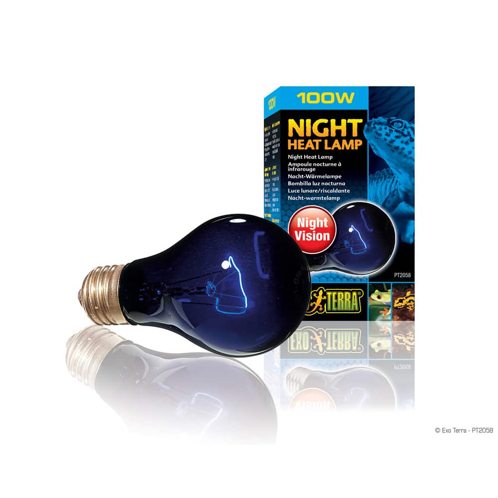 Exo Terra Night Heat Lamp - Underground Reptiles