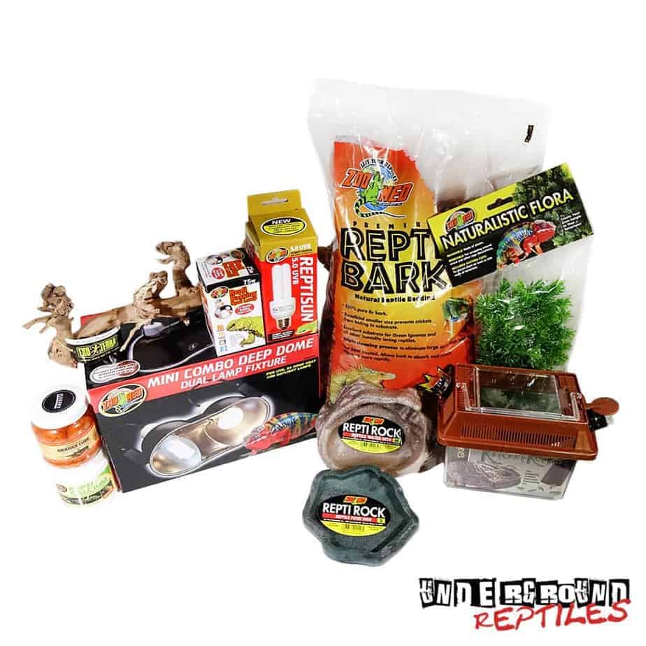 Frilled Dragon Setup - Underground Reptiles