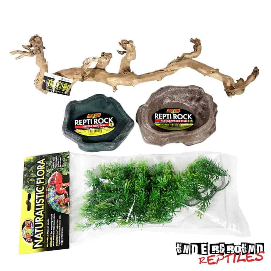 Frilled Dragon Setup - Underground Reptiles