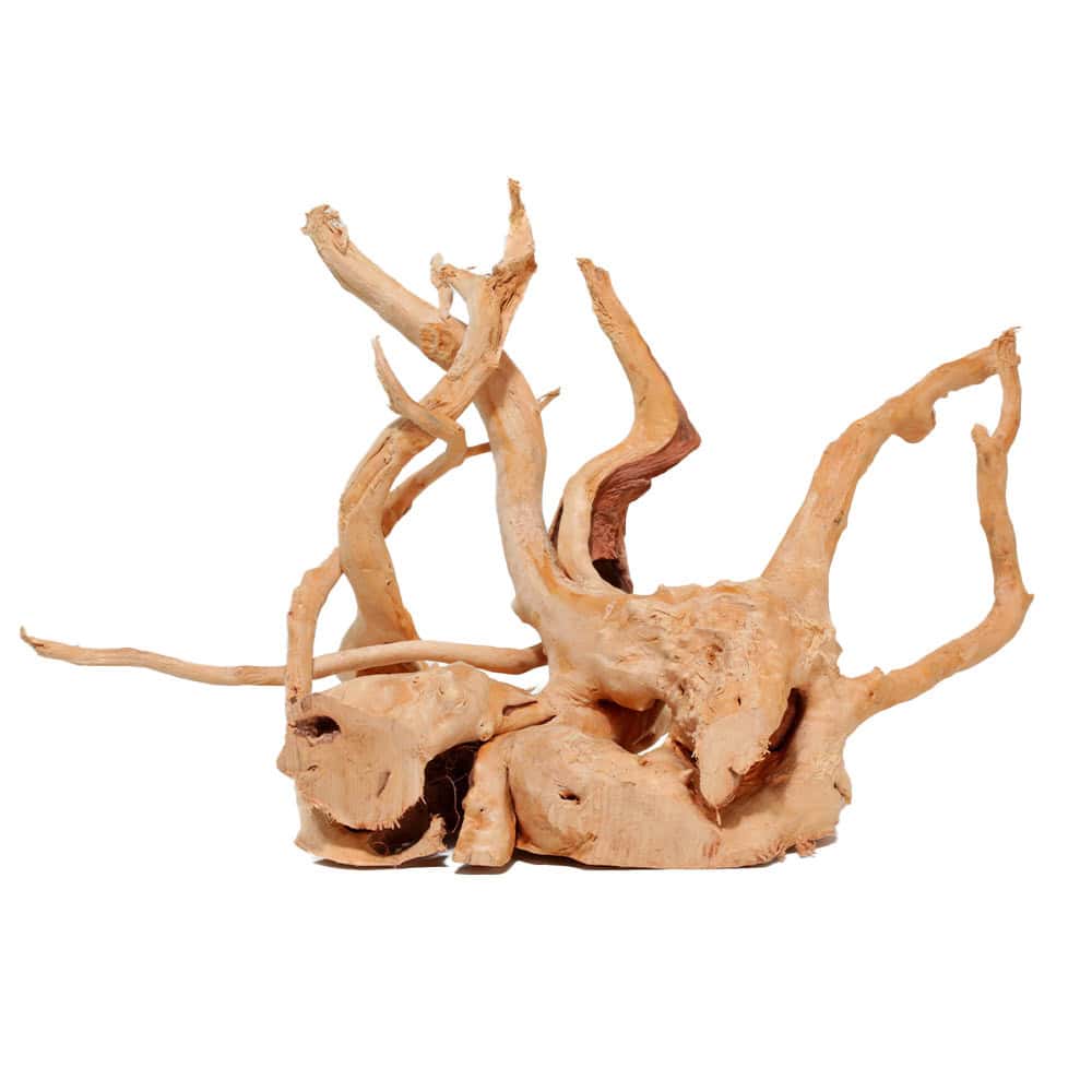 Galapagos Spider Wood Natural 12 - 24 inches - Underground Reptiles