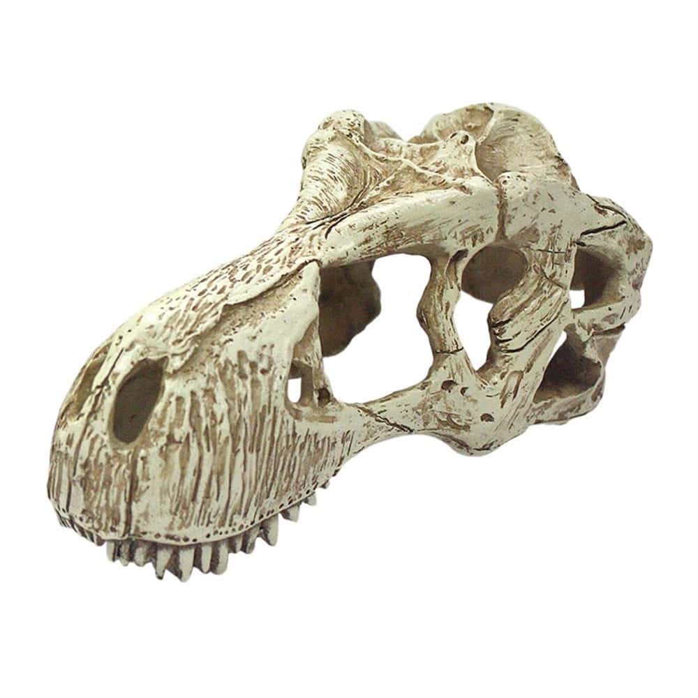 Komodo T-Rex Skull Reptile Hideout - Underground Reptiles