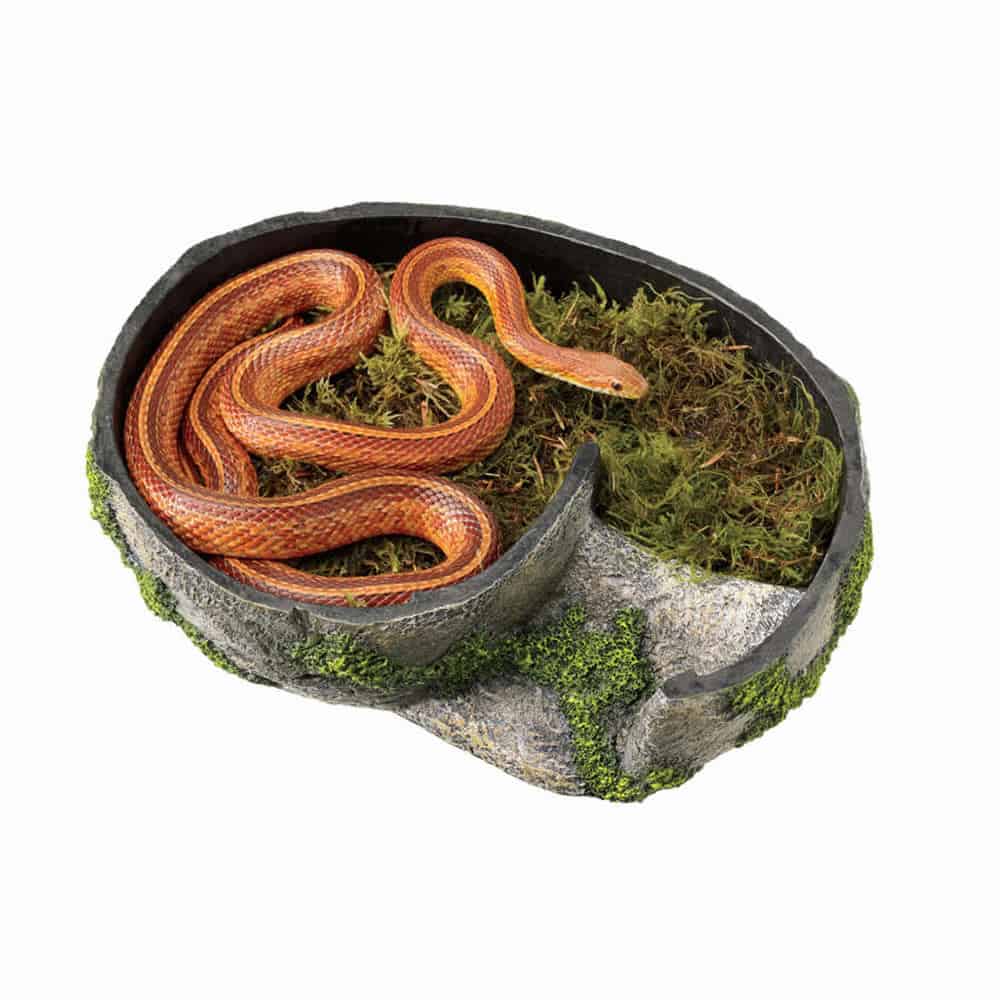 Zilla Rock Lairs - Underground Reptiles