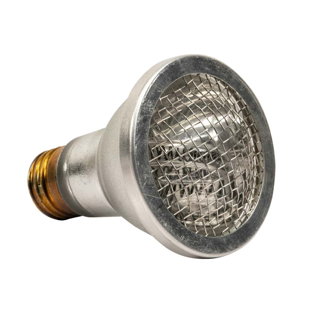Zoo Med Repticare Infrared Heat Projector Bulb - Underground Reptiles