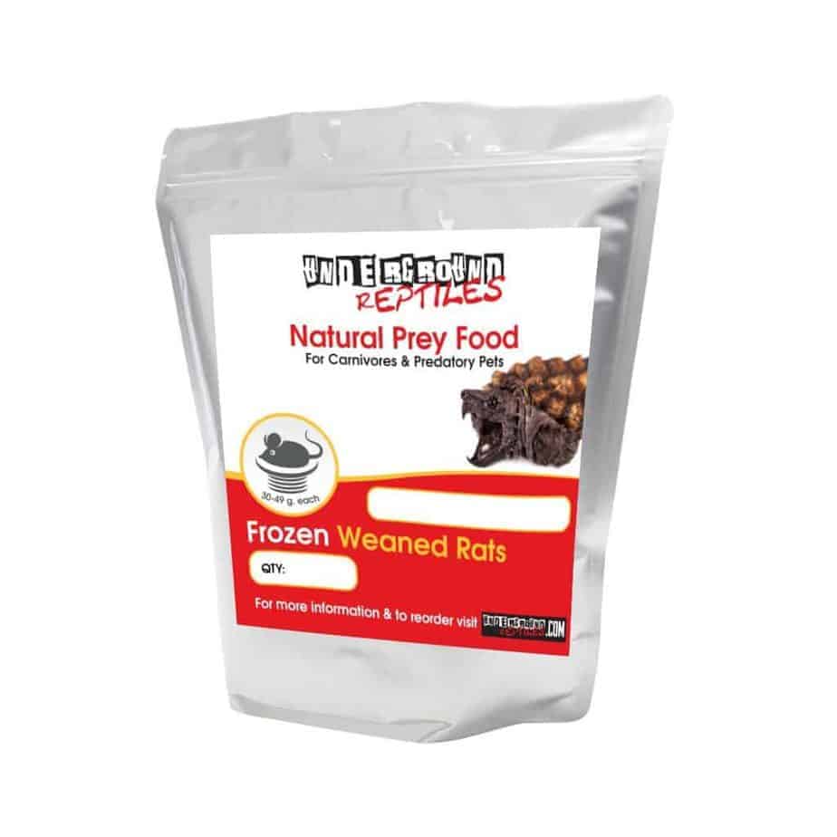 Frozen Weaned Crawler Rats for Sale - Underground Reptiles
