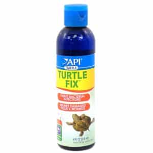 API Turtle Fix For Sale- Underground Reptiles