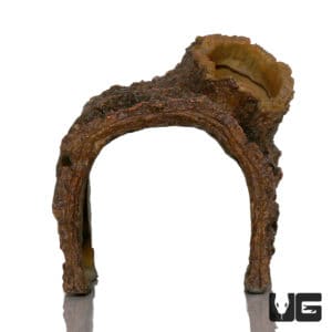 Bark Hide - Underground Reptiles