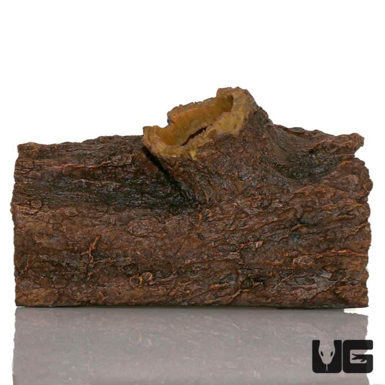 Bark Hide - Underground Reptiles