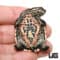 Baby Geoffrey’s Sideneck Turtles (Phrynops geoffroanus tuberosus) For ...