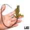 Monkey Anoles (Polychrus marmoratus) For Sale - Underground Reptiles