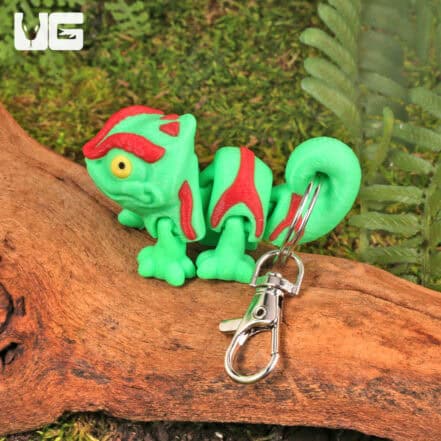 3D Printed Reptiles & Inverts – A New Dimension of Nature’s Wonders!