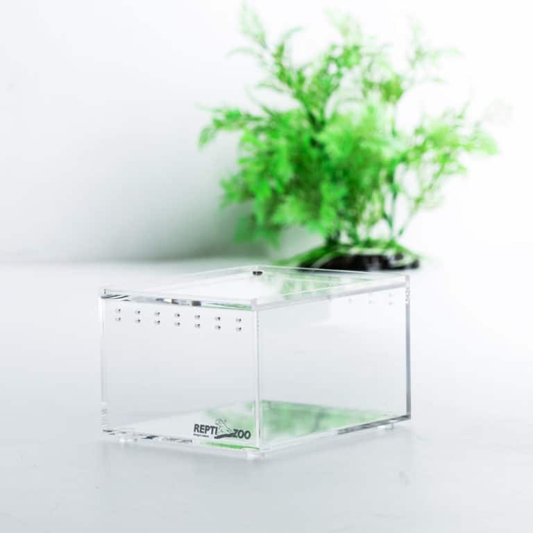 Acrylic Mini Tank - Underground Reptiles