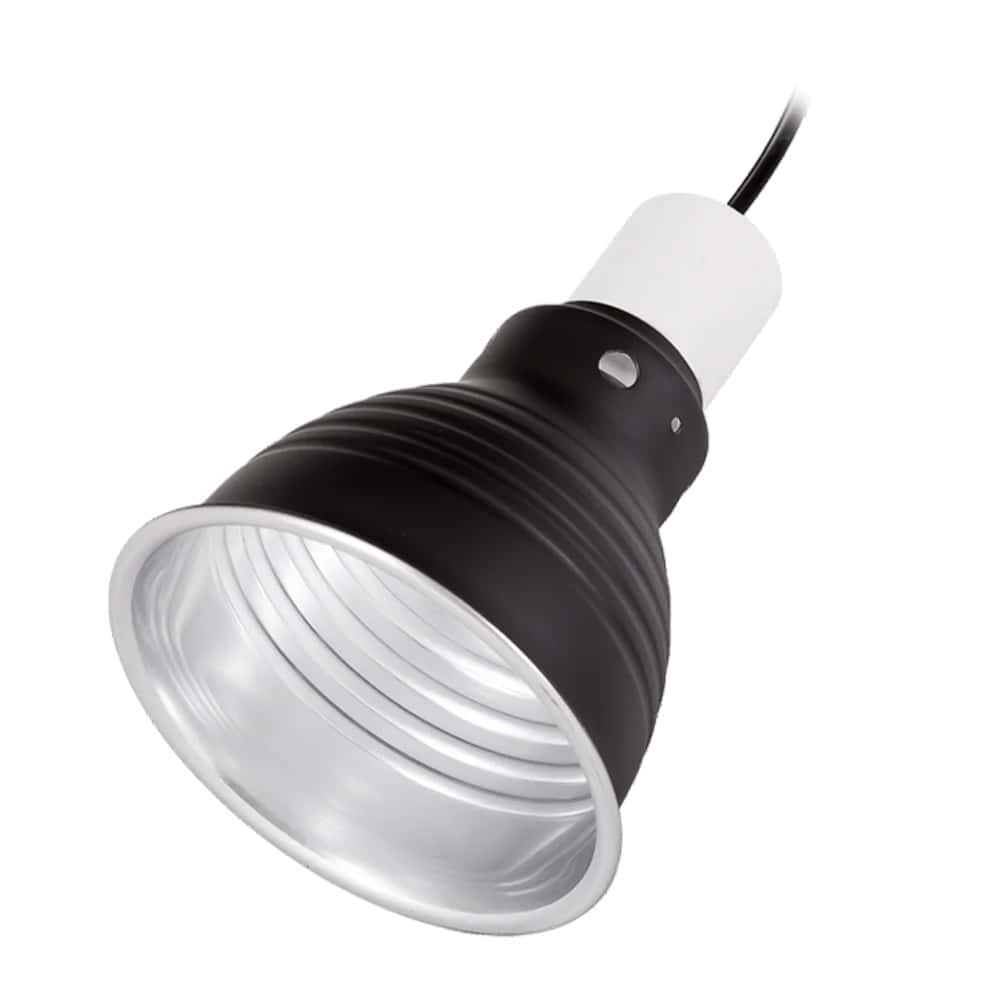 Lamps For Sale - Underground Reptiles