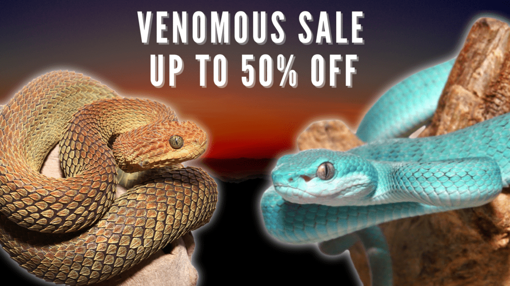 Underground Reptiles - Exotic Reptiles, Amphibians, Lizards and Mammals