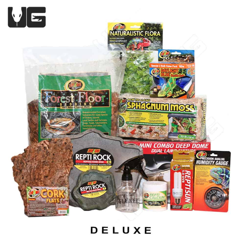 COMPLETE Baby Box Turtle Setup - Underground Reptiles