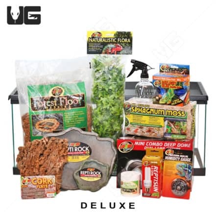 COMPLETE Baby Box Turtle Setup - Underground Reptiles