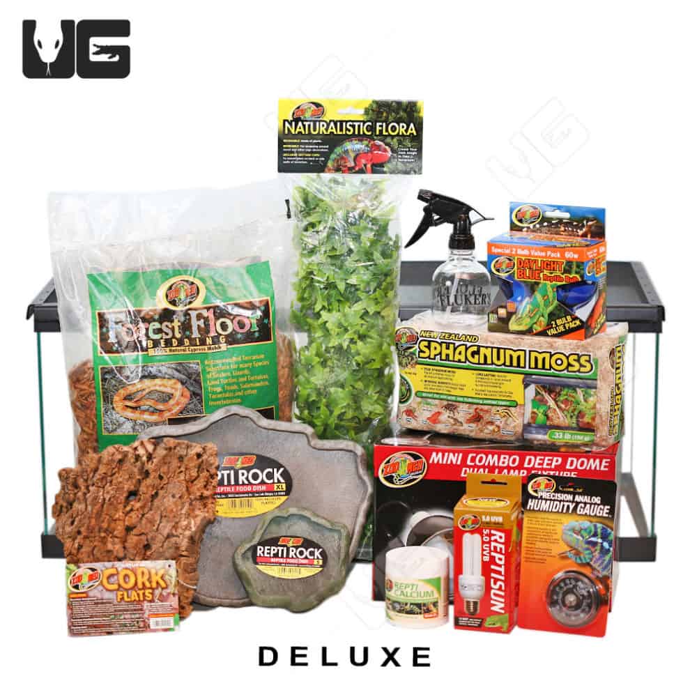 COMPLETE Baby Box Turtle Setup - Underground Reptiles