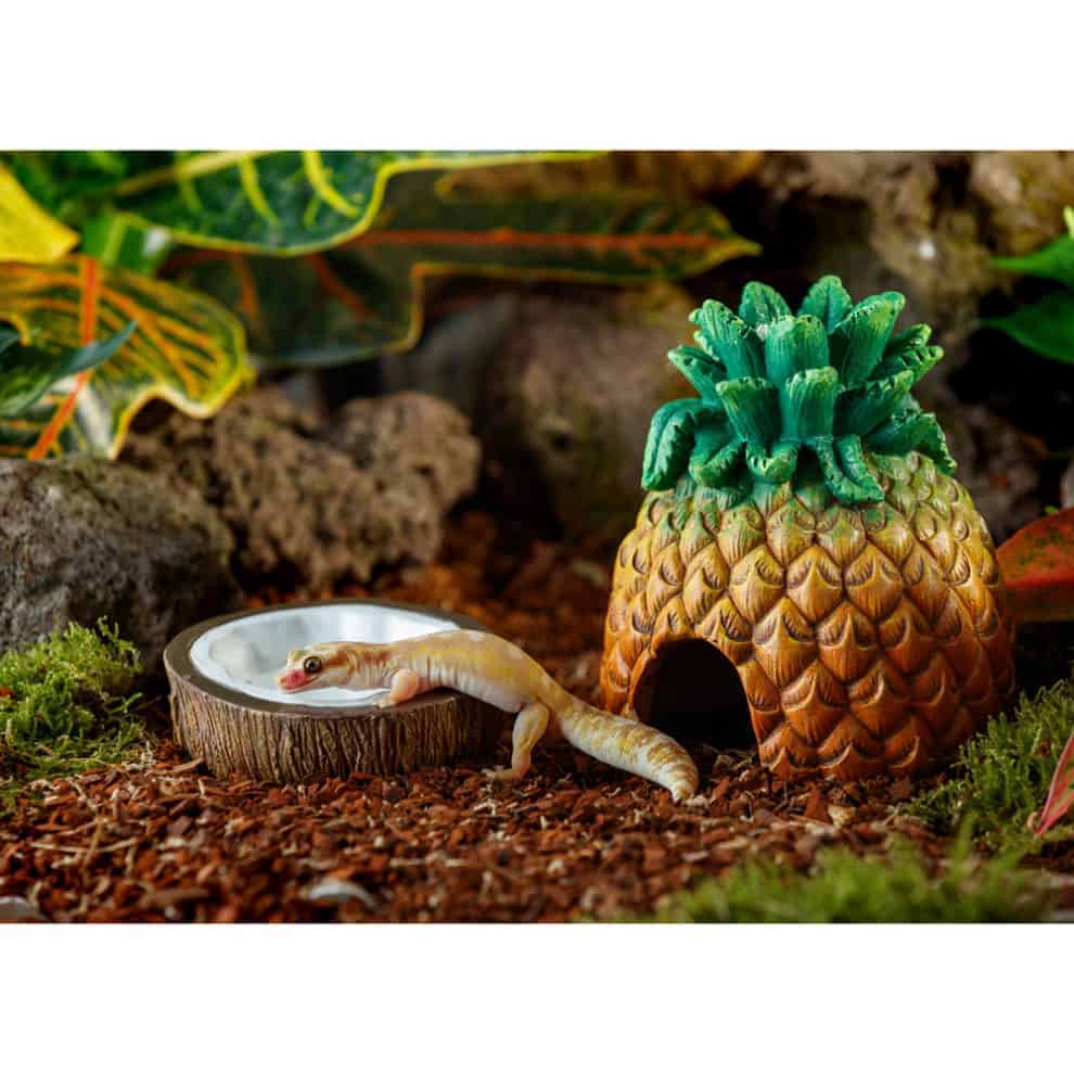 Exo Terra Pineapple Hide