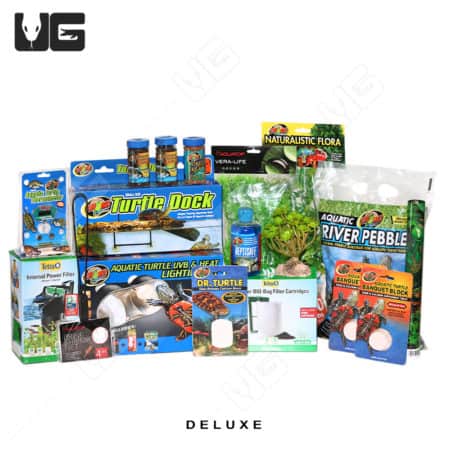Shop Reptiles, Amphibians, Inverts & More - Underground Reptiles