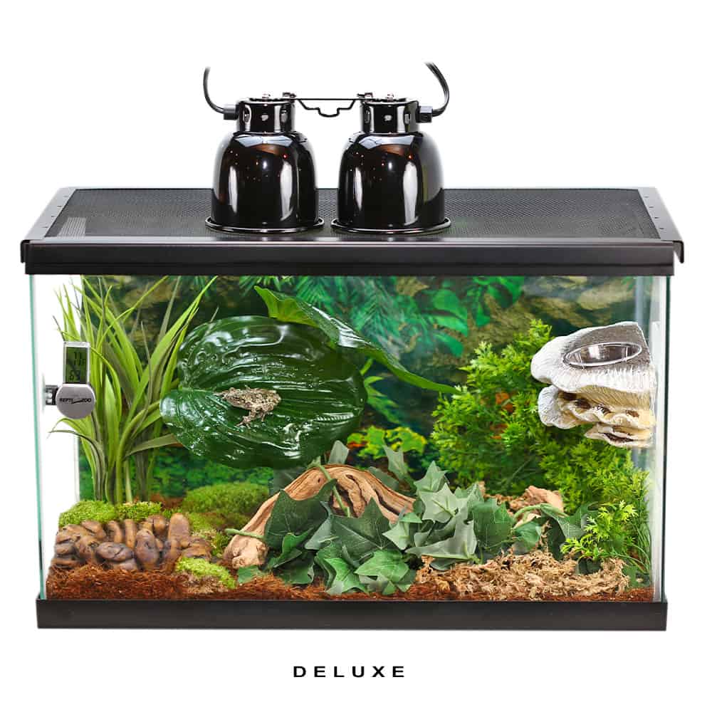 Custom Animal Setups For Sale - Underground Reptiles