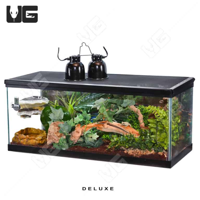 COMPLETE 20 Gallon Tree Frog Setup - Underground Reptiles