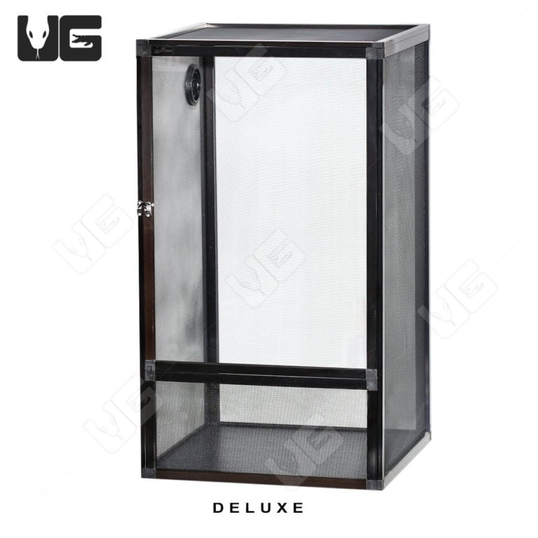 COMPLETE Chameleon Setup - Underground Reptiles