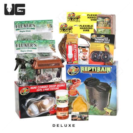 COMPLETE Chameleon Setup - Underground Reptiles