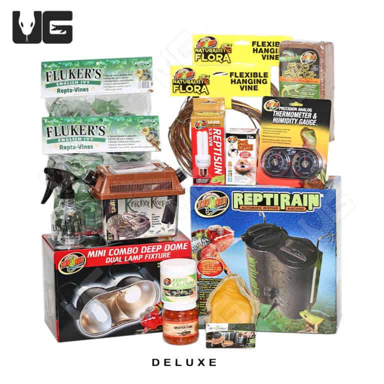 COMPLETE Chameleon Setup - Underground Reptiles