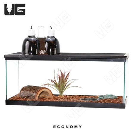 COMPLETE Baby Grassland Tortoise Setup - Underground Reptiles