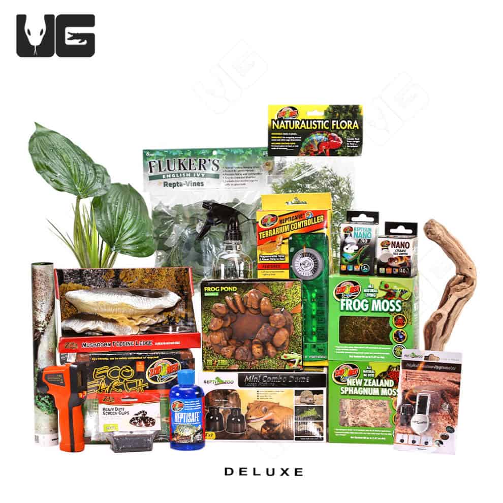 COMPLETE 10 Gallon Tree Frog Setup - Underground Reptiles