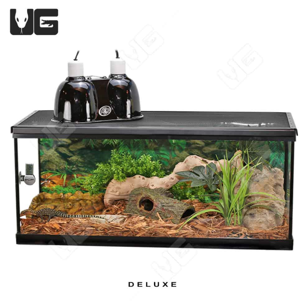 COMPLETE Baby Monitor Setup - Underground Reptiles