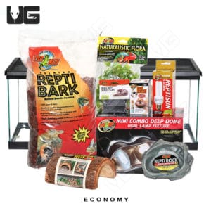 COMPLETE Baby Ball Python Setup - Underground Reptiles