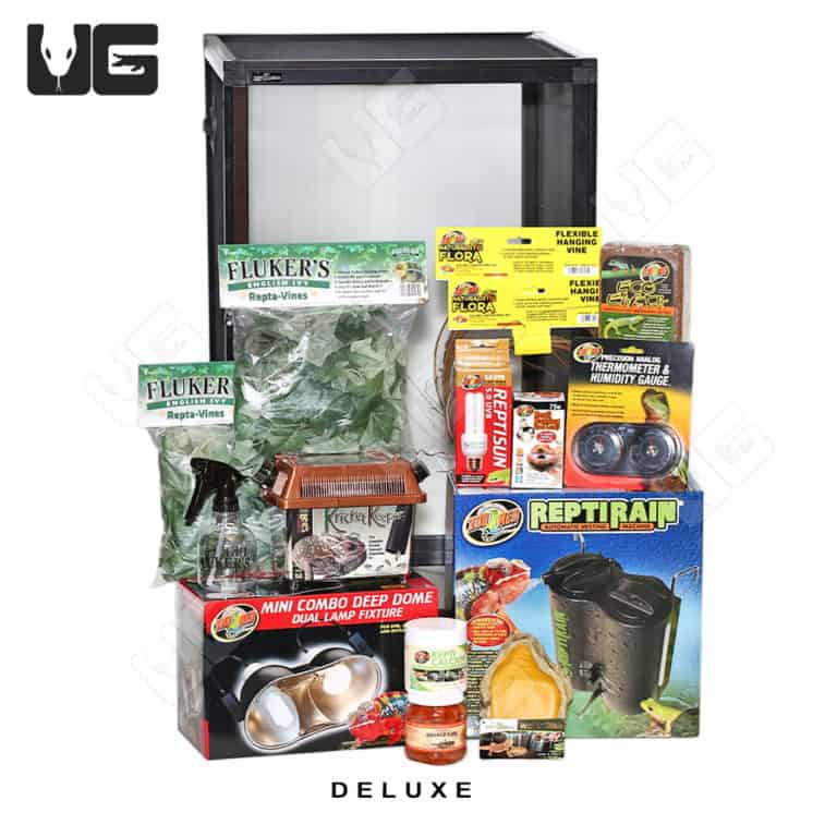 COMPLETE Chameleon Setup - Underground Reptiles