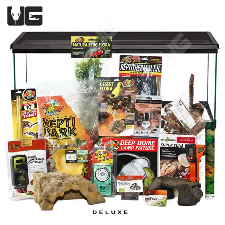 COMPLETE Baby Ball Python Setup - Underground Reptiles