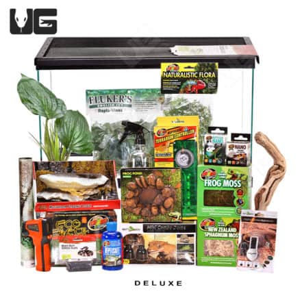 COMPLETE 10 Gallon Tree Frog Setup - Underground Reptiles
