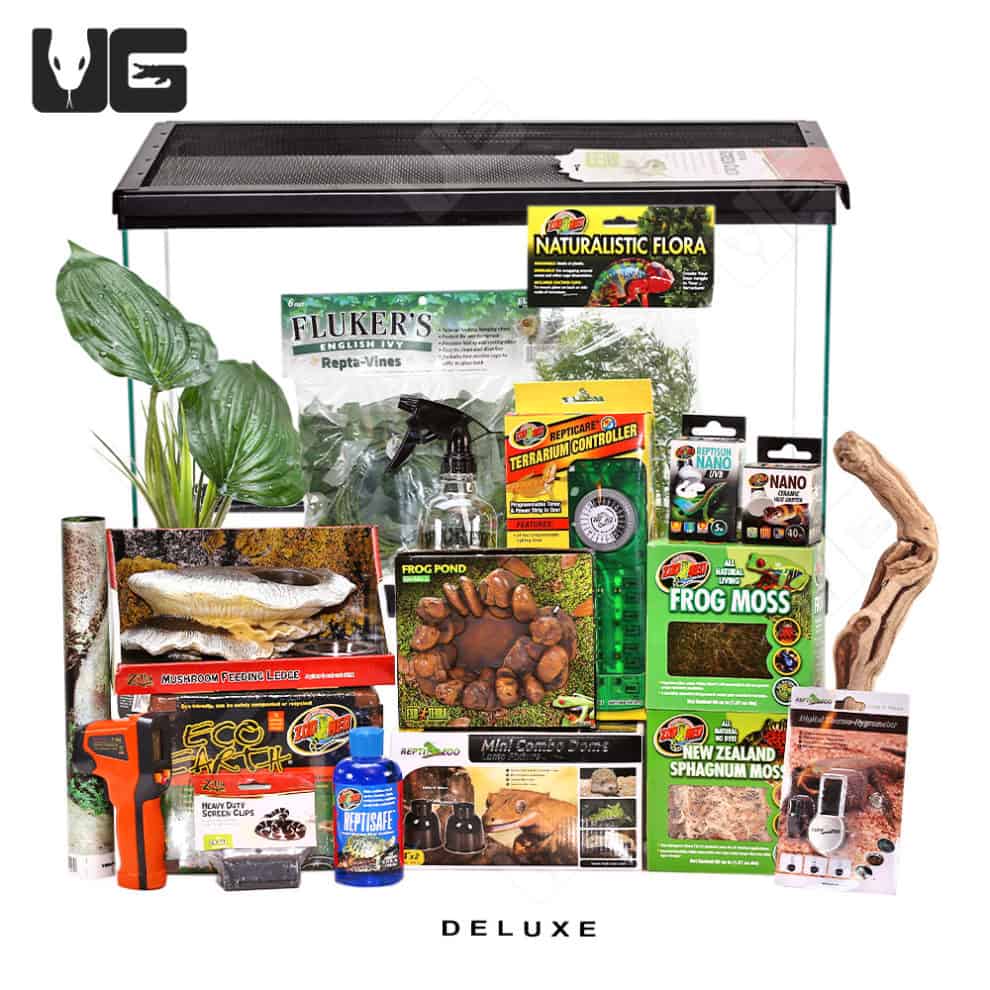COMPLETE 10 Gallon Tree Frog Setup - Underground Reptiles