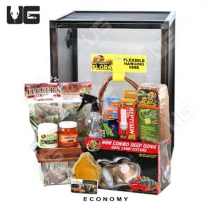 COMPLETE Chameleon Setup - Underground Reptiles