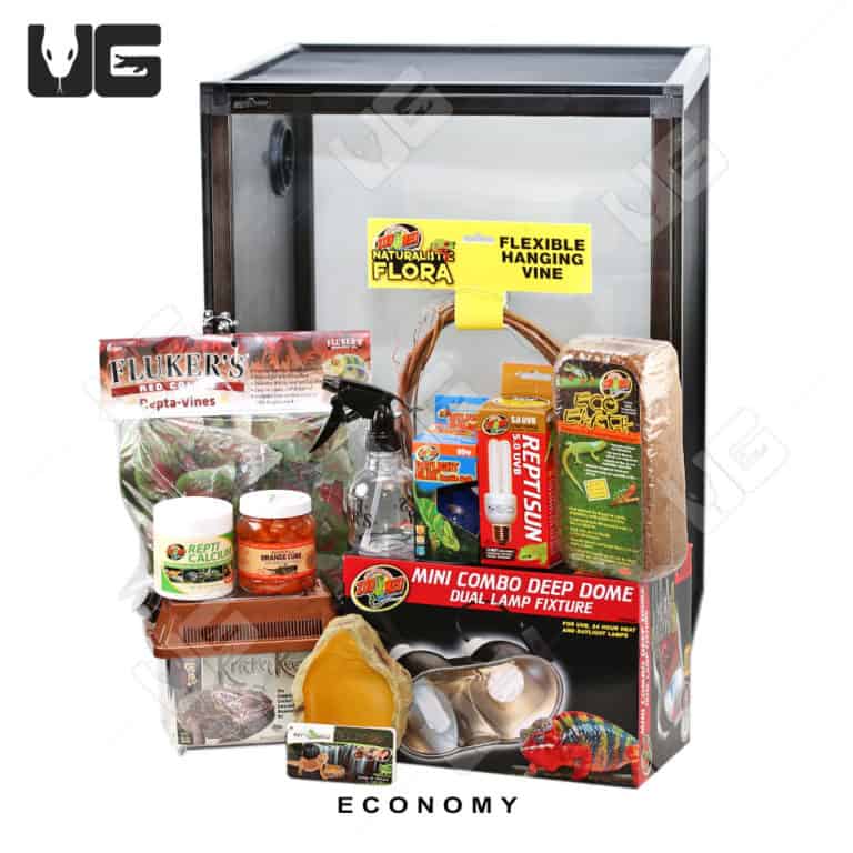 COMPLETE Chameleon Setup - Underground Reptiles