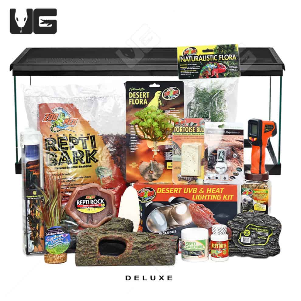 COMPLETE Baby Grassland Tortoise Setup - Underground Reptiles