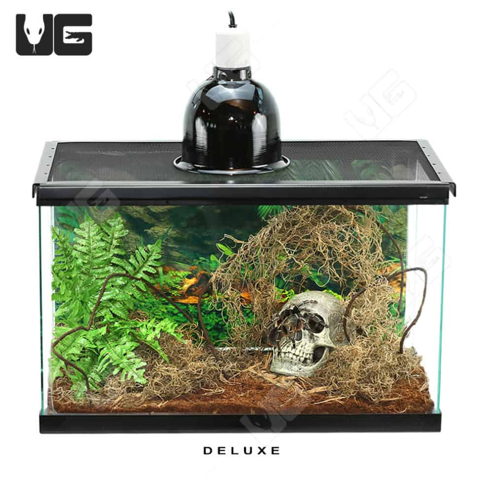 Custom Animal Setups Archives - Page 2 of 2 - Underground Reptiles