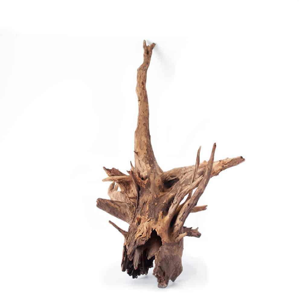 Galapagos Hollow Tree Root, Driftwood - Underground Reptiles