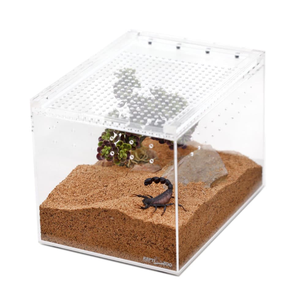 Cages / Enclosures Archives - Underground Reptiles