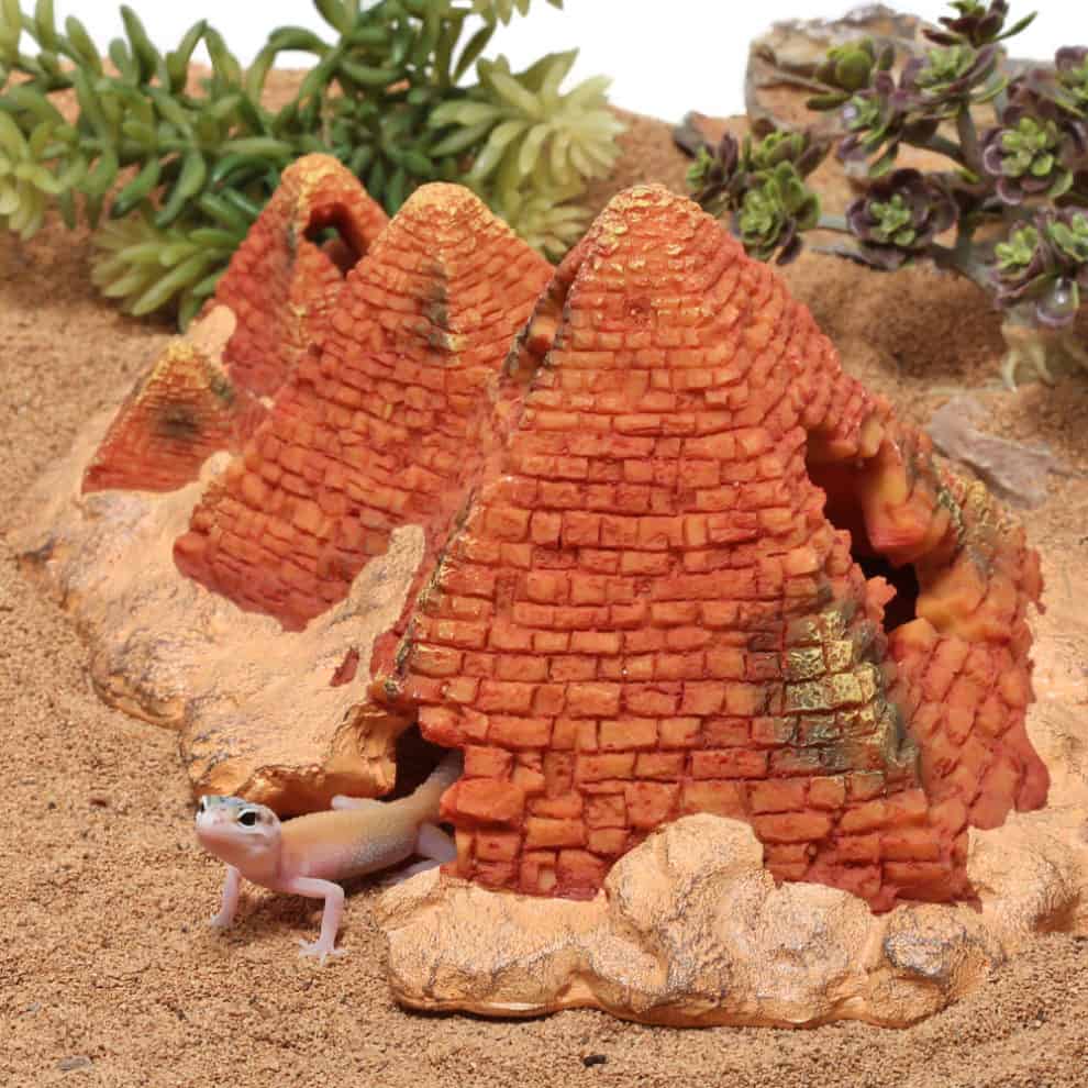 Reptizoo Pyramid Cave - Underground Reptiles