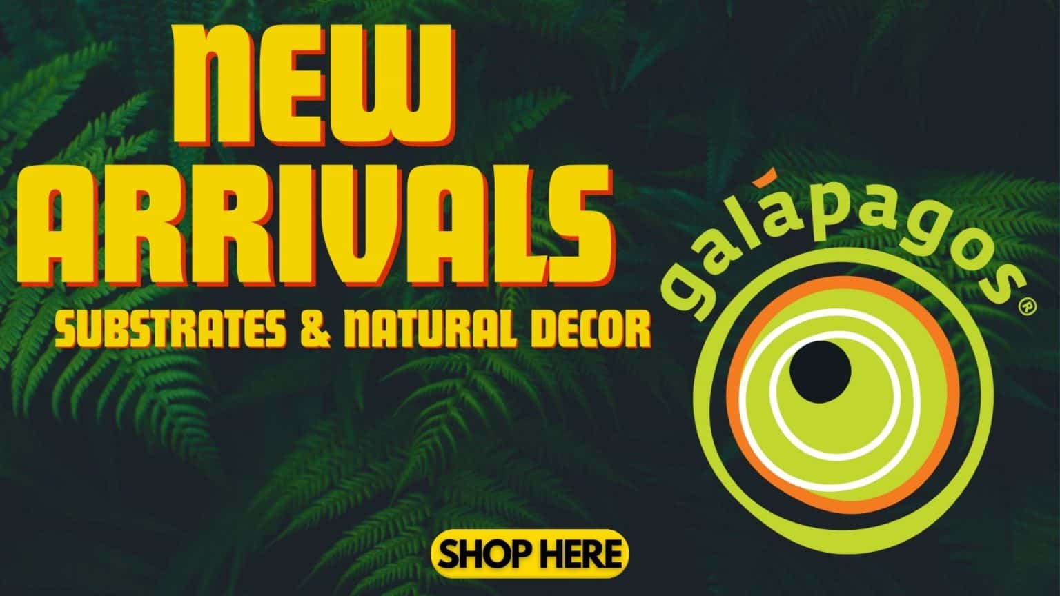 Underground Reptiles - Exotic Reptiles, Amphibians, Lizards and Mammals