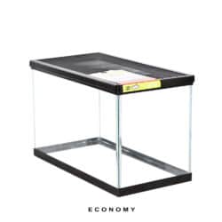 COMPLETE Axolotl Setup - Underground Reptiles