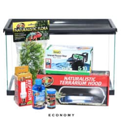 COMPLETE Axolotl Setup - Underground Reptiles