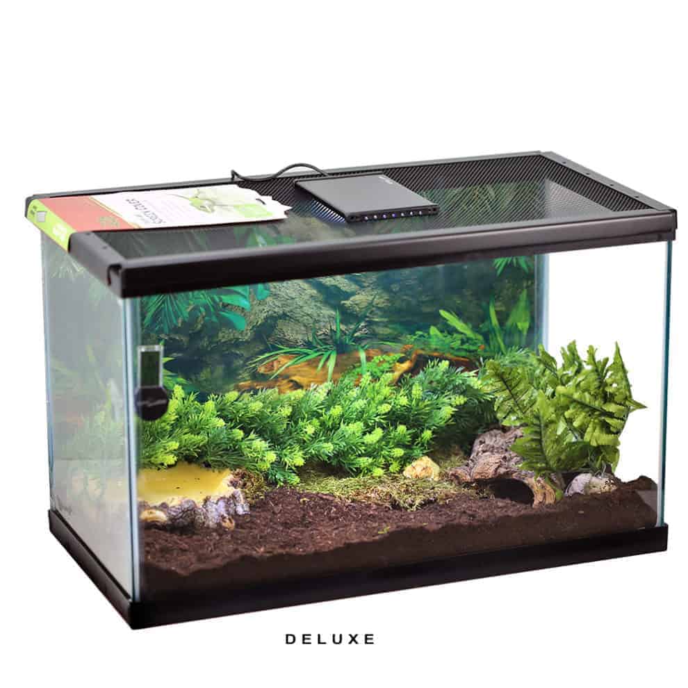 COMPLETE Baby Pacman Setup - Underground Reptiles