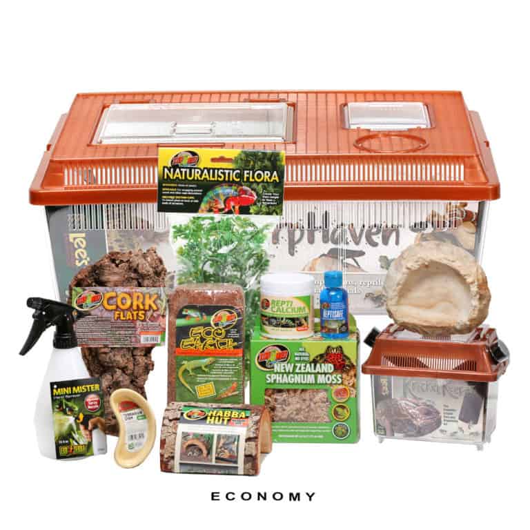 COMPLETE Salamader/Newt Setup - Underground Reptiles